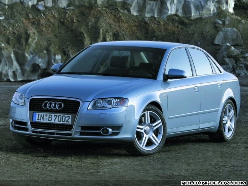 Audi A4 B7 Trap I Vesanje