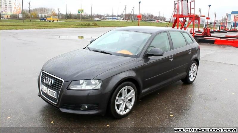 Audi A3 8p Trap I Vesanje