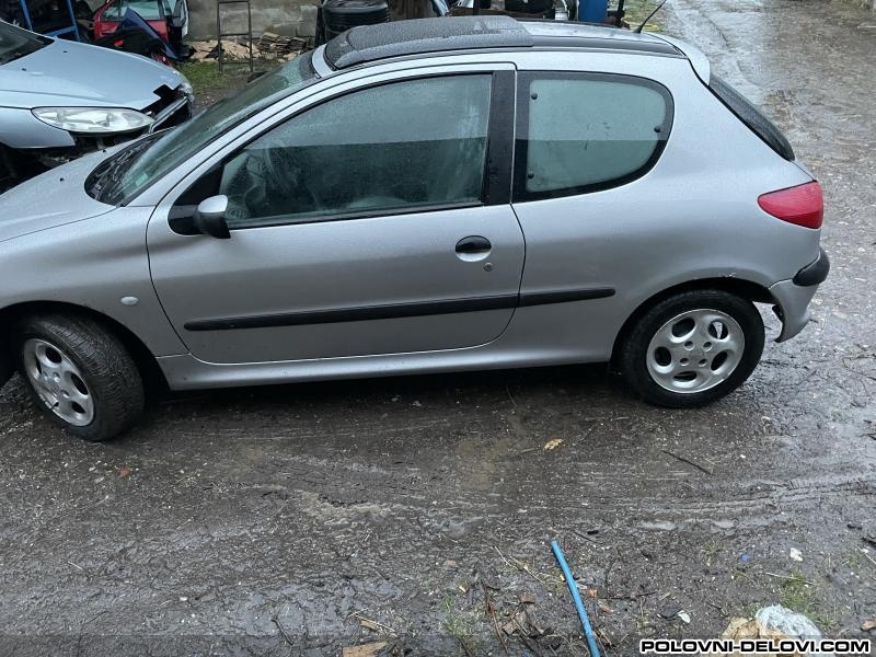 Peugeot 206 Trap I Vesanje