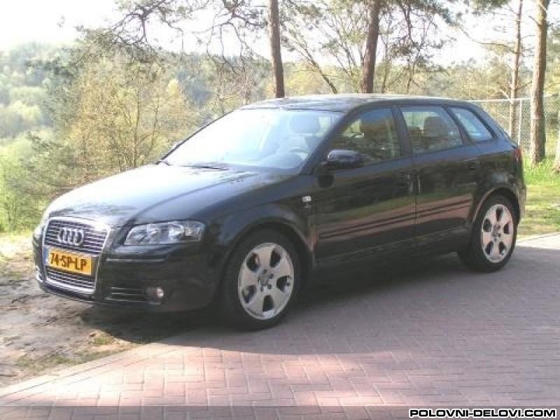 Audi A3 8p Sport Back Trap I Vesanje