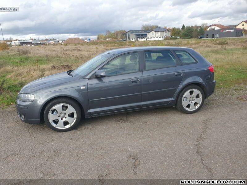 Audi A3 8p Svetla I Signalizacija