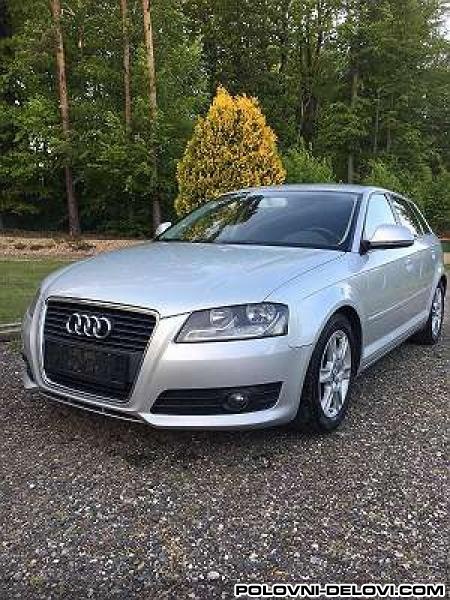 Audi A3 1.6 TDi Kompletan Auto U Delovima