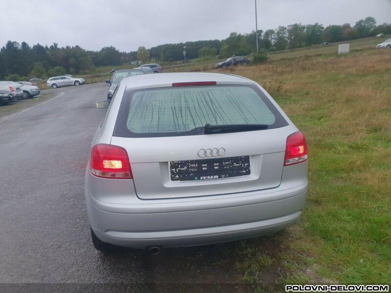 Audi A3 8p Amortizeri I Opruge