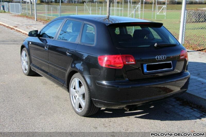 Audi A3 8p Sport Back Karoserija