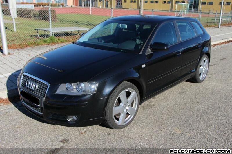 Audi A3 8p Trap I Vesanje