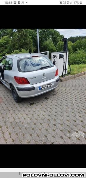 Peugeot 307 Svetla I Signalizacija