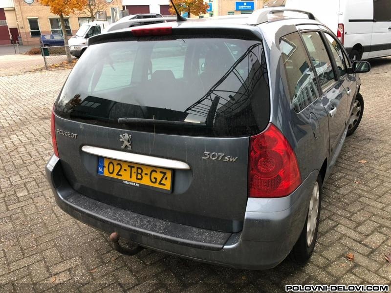 Peugeot 307 LAMPE 307 Pezo Svetla I Signalizacija