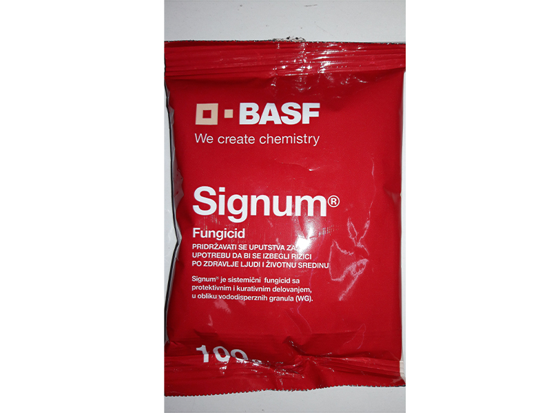 Signum 0,5kg