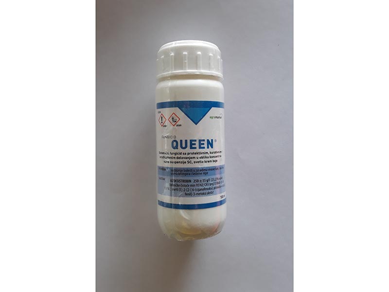 Queen 25 ml