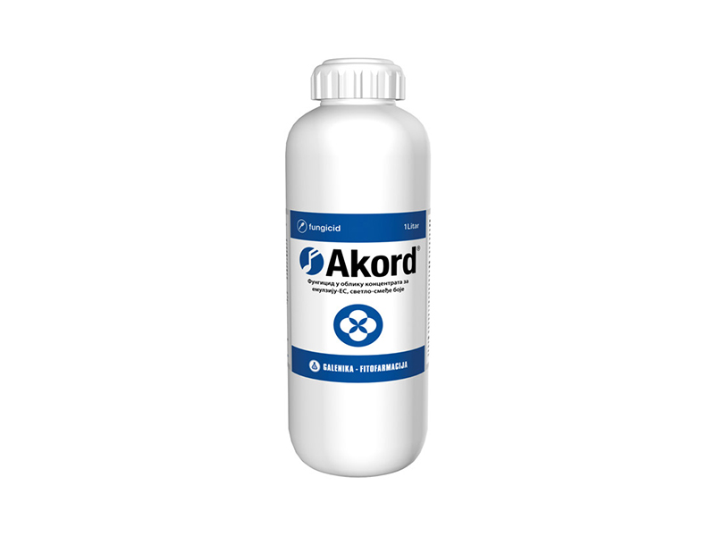 Akord 100ml