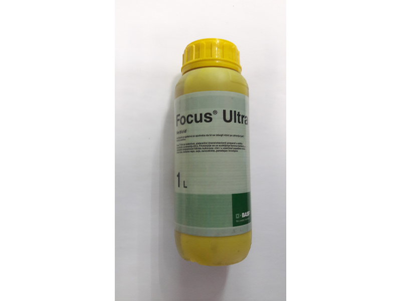 Focus Ultra 1lit