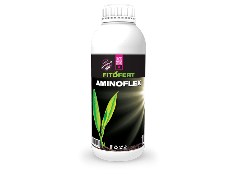 ff aminoflex 1l