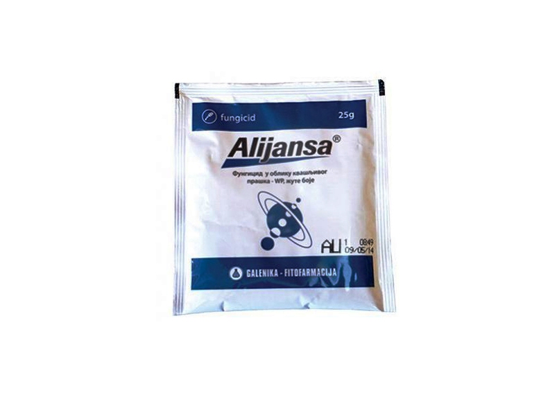 Alijansa 1kg