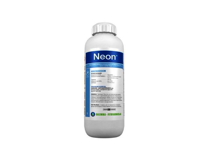 Neon 50ml