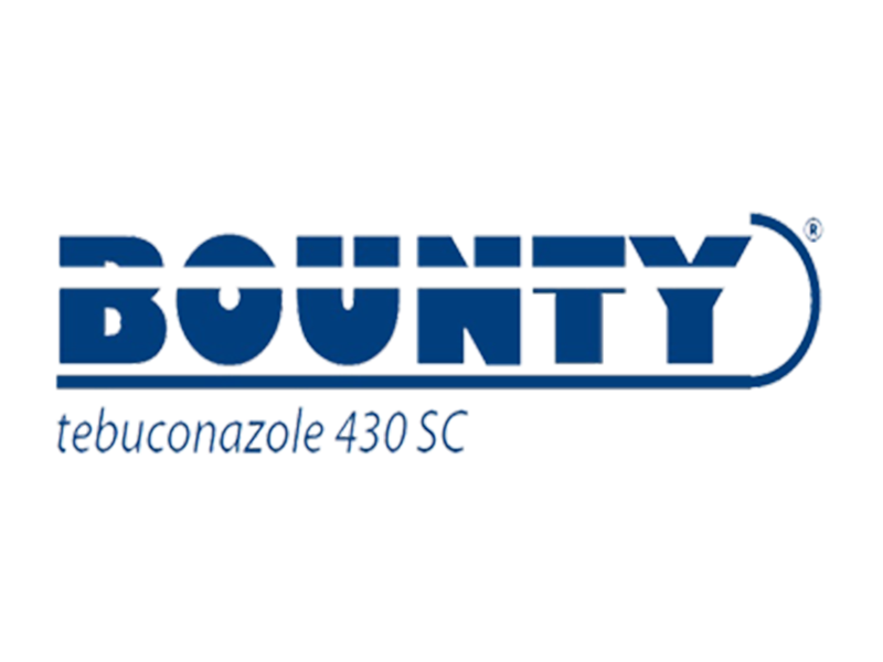 Bounty 250ml