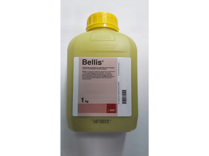 Bellis 1kg