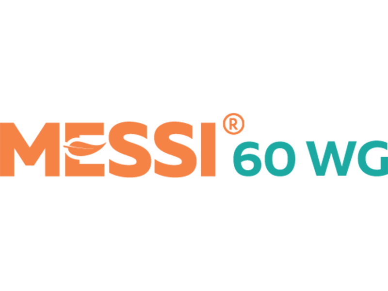 Messi 60 WG 10g