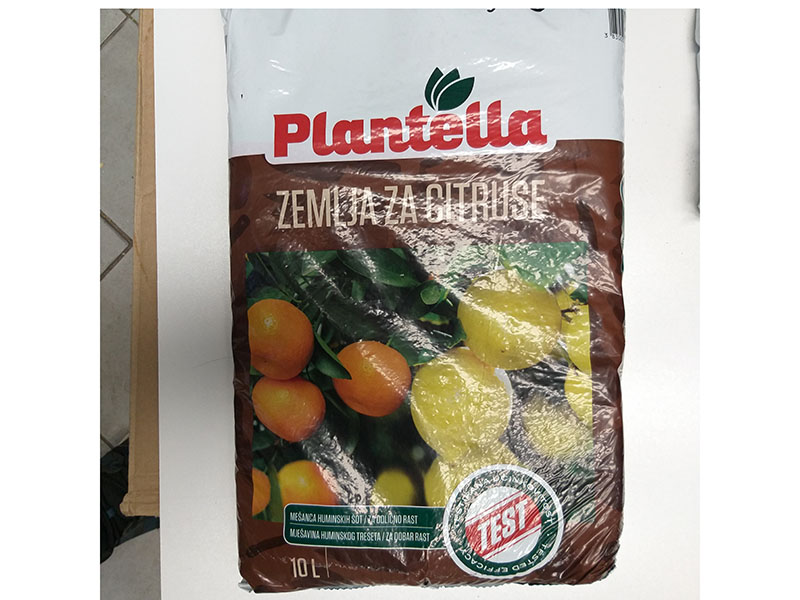 Plantella za citruse 10l