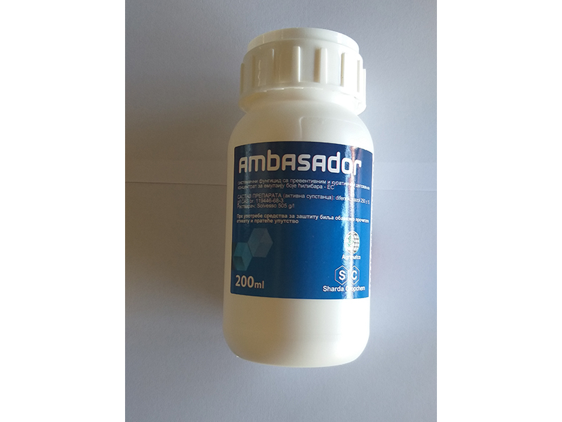 Ambasador 50ml