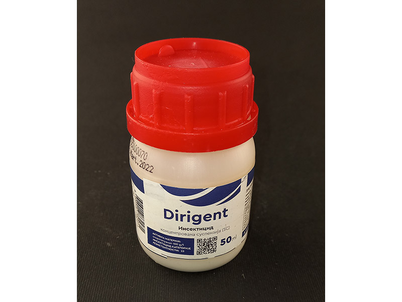 Dirigent 0.05