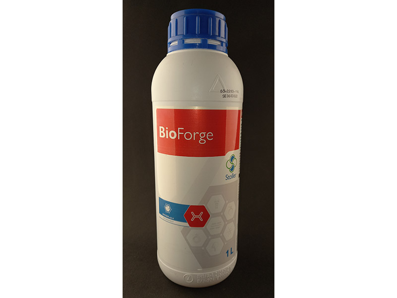 Bioforge a 1l Stoller