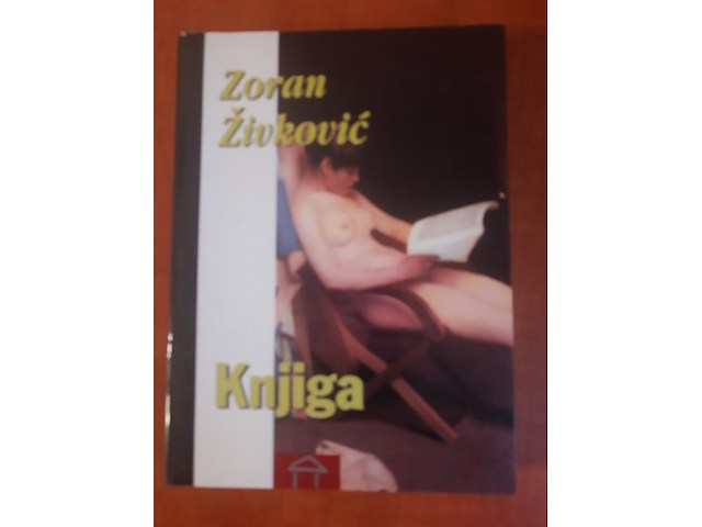 Zoran Živković - Knjiga