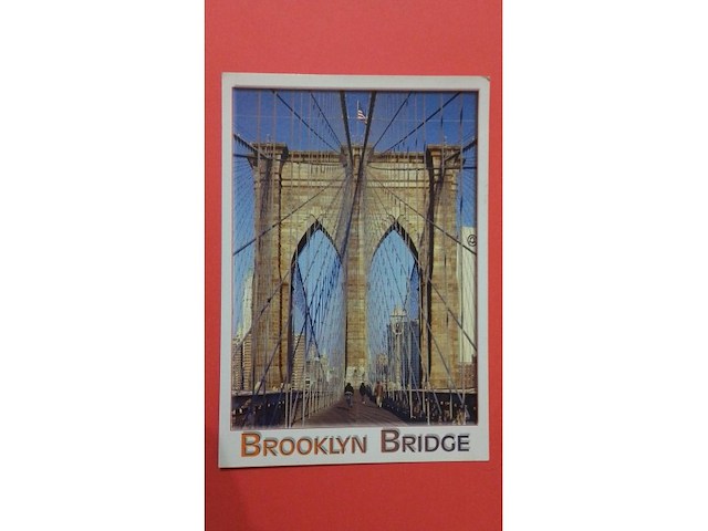 BROOKLYN BRIDGE-NEW YORK CITY-RAZGLEDNICA (577)