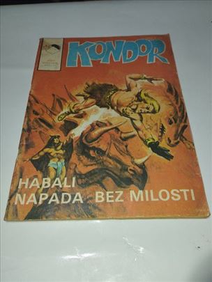 Kondor br.11-Habali napada bez milosti