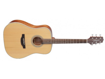 Takamine GD20-NS