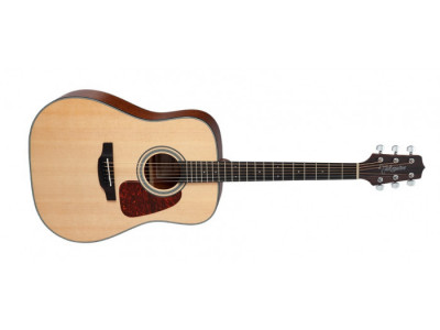 Takamine GD10-NS