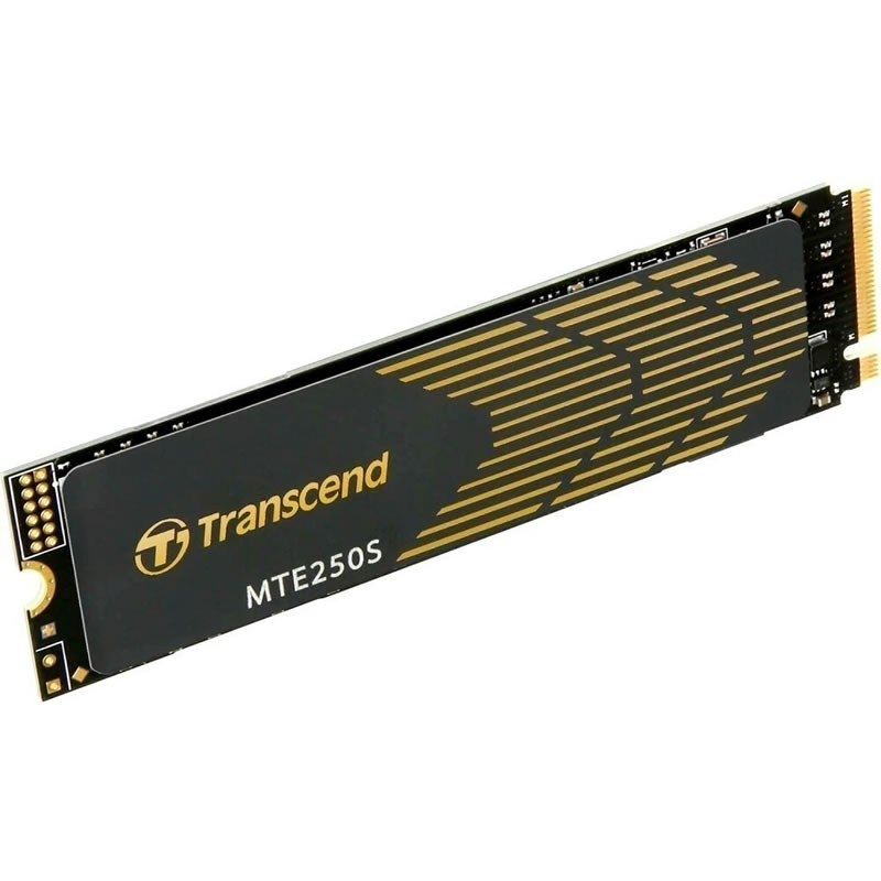 Transcend M.2 TS1TMTE250S/1TB