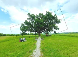 Prodaja Ostale nekretnine - Topola, Gornja Trnava