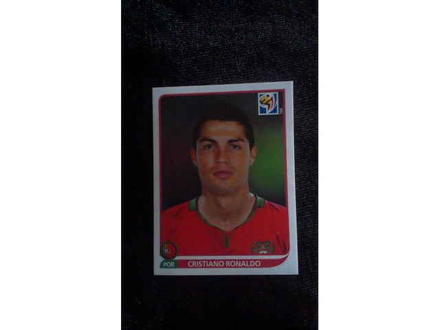 Panini FIFA 2010 J.Afrika sličica broj 559