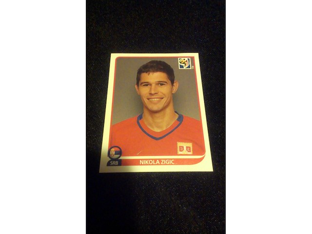 Panini FIFA 2010 J.Afrika sličica broj 313