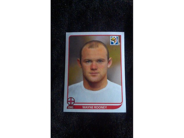 Panini FIFA 2010 J.Afrika sličica broj 198