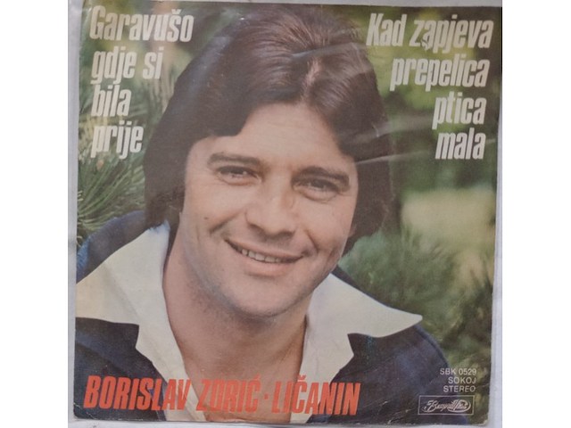 Borislav  Zoric  Licanin  - Garavuso gdje si bila prije