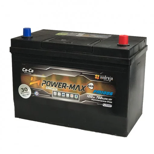 Power-Max Asia PM1006 12V 100Ah