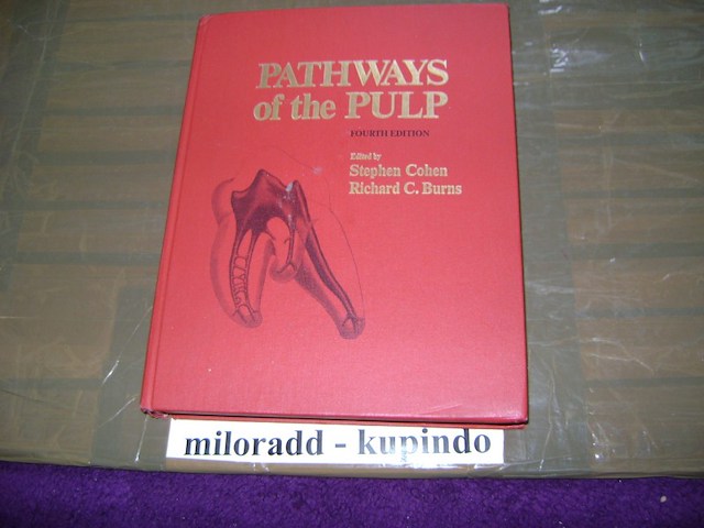 Pathways of the pulp