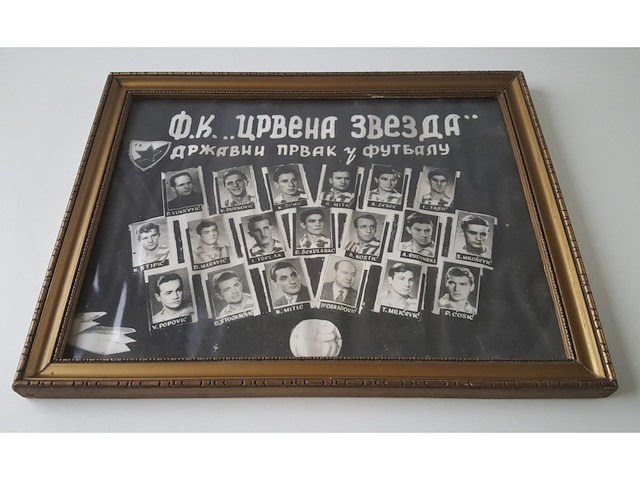 FK Crvena zvezda 1959/60
