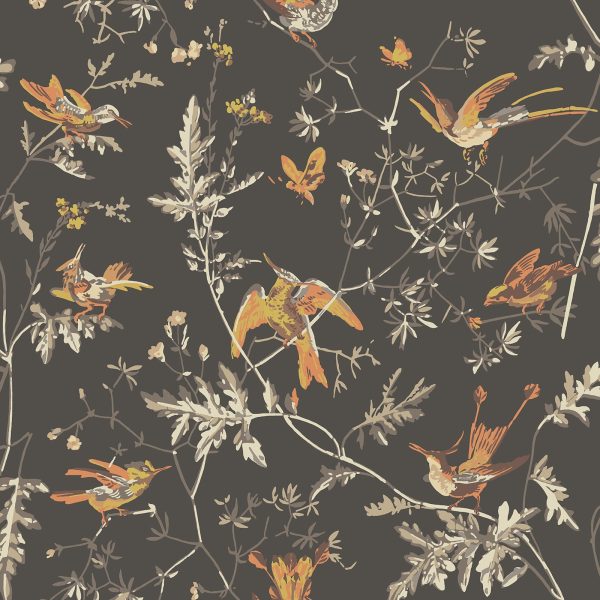 Cole & Son Hummingbirds Wallpaper 112/4017