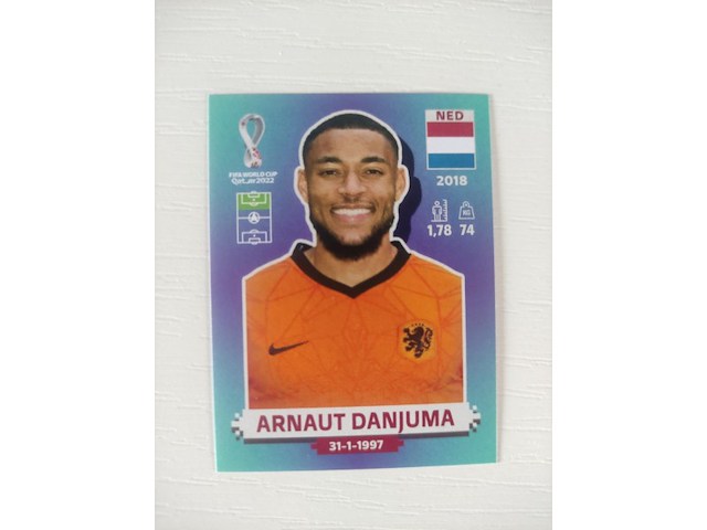 Panini FIFA 2022 international Qatar NED17