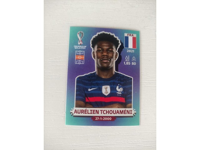 Panini FIFA 2022 international Qatar FRA14