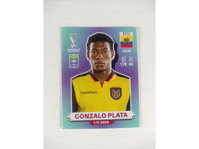 Panini FIFA 2022 international Qatar ECU18