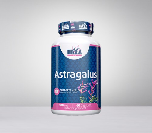 Astragalus