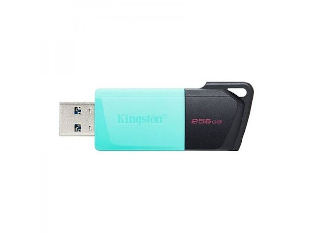 USB FD.256GB KINGSTON DTXM/256GB