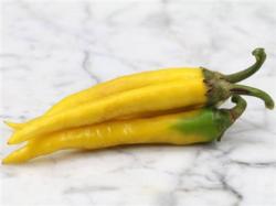 Chilli Cayenne long slim žuti (30 semenki) yellow