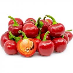 Paprika trešnja crvena ljuta (30 semenki)