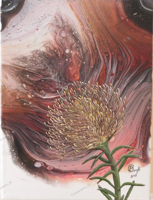 PROTEA