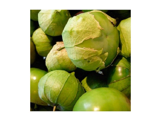 Tomatiljo (seme) Physalis Ixocarpa