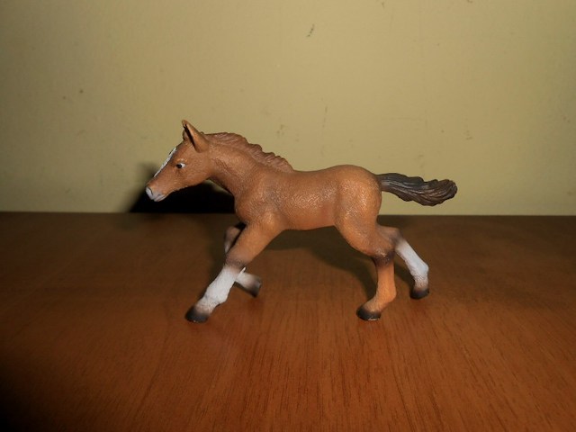 Collecta - Thoroughbred Foal (Running)
